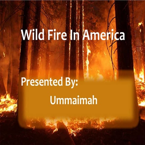 Wild Fire in America | PPT