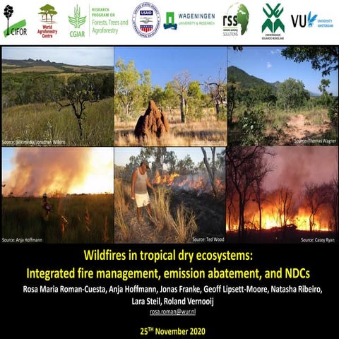 Wildfires in tropical dry ecosystems: Integrated fire management ...