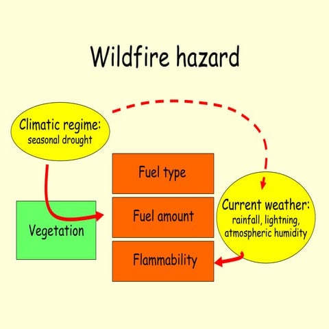 Wildfires explaination.💴💴💴💴💴💴💴💴💴💴💴💴💴 | PPT
