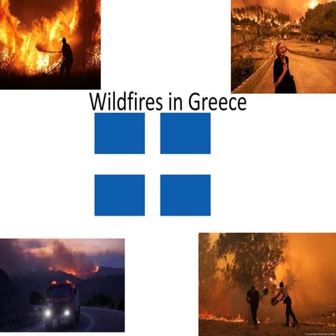 Wildfires_in_Greece_Presentation (1).pdf