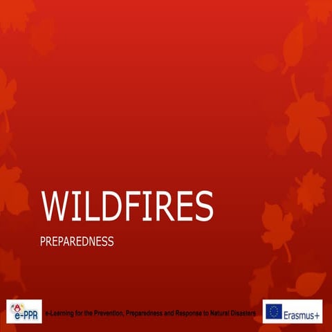 Primary - Wildfires - Preparedness | PPTX