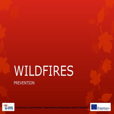 Primary - Wildfires - Prevention | PPTX