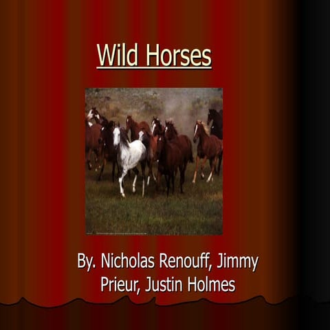 Wild Horses | PPT
