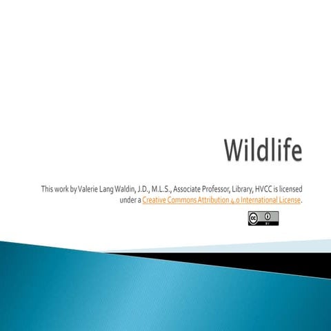 Wildlife | PPT