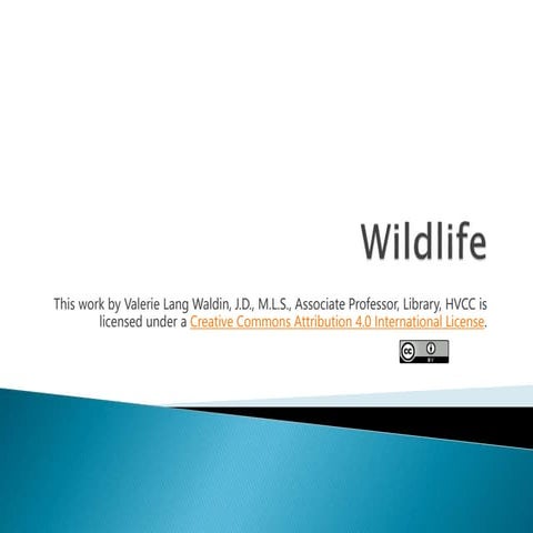wildlife presentation, presentation of wildlife.pptx