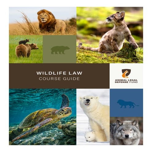 Animal Legal Defense's Wildlife Law Course Guide | PDF
