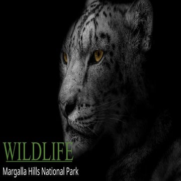 Exploring Pakistan's Rich Wildlife: Conservation and Challenges | PPTX