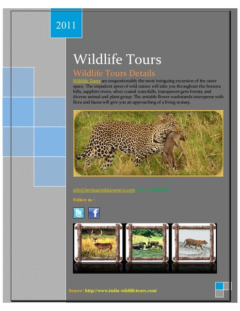 Wildlife Tour India | PPT | Asia Travel | Travel Locations