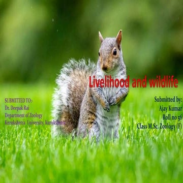 Wildlife and livelihood | PPTX