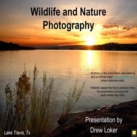Wildlife and nature photography | PPT