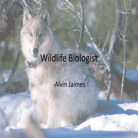 Wildlife biologist powerpoint | PPTX