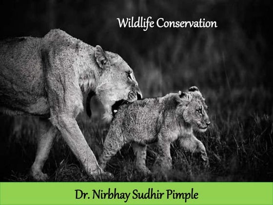 Presentation on Wildlife Conservation | PPTX