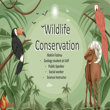 "Wildlife Conservation" | PPT