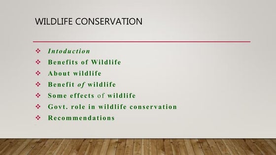 Presentation on nature and wildlife conservation | PPTX