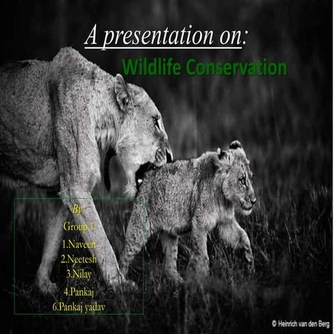 Wildlife presentation | PDF