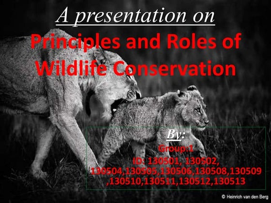Presentation on nature and wildlife conservation | PPTX