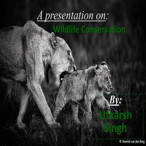 Wildlife conservation in India(ppt) | PPTX