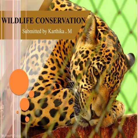 Wildlife presentation | PDF