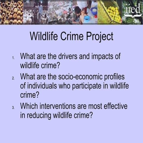 Updates from the Wildlife Crime project January 2015 | PPTX