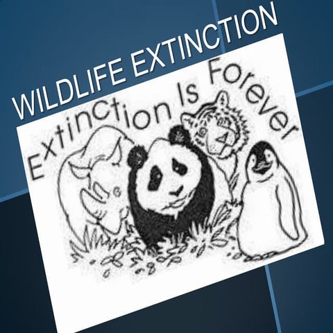 Wildlife extinction | PPTX