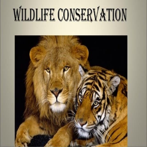 Wildlife Habitats, Threats conservation and management in India - Copy ...