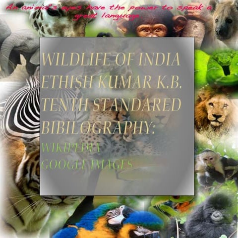 wildlife conservation | PPT