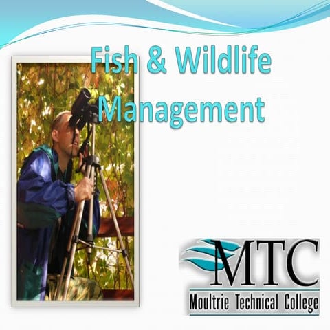 Fish & Wildlife Management power point | PPTX