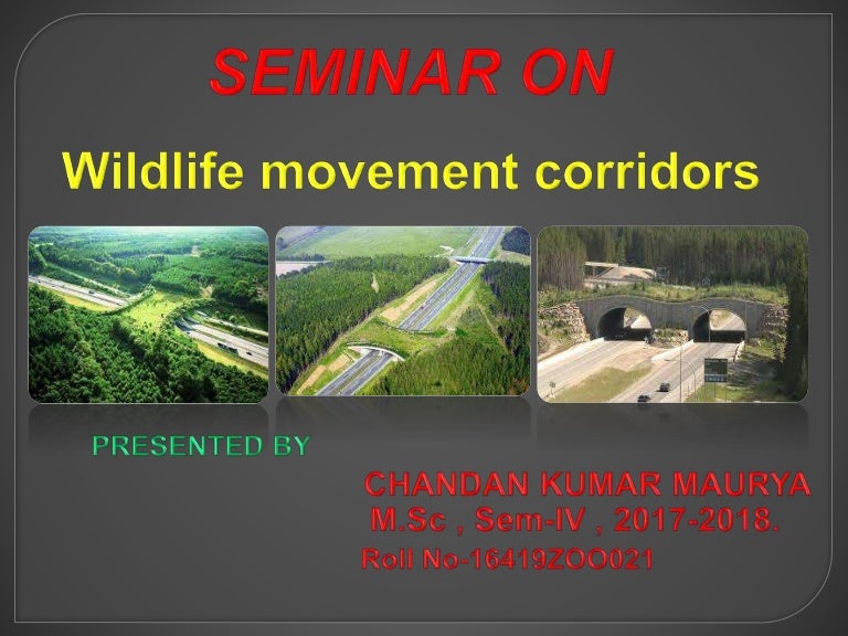 Wild life movement corridor by chandan, bhu