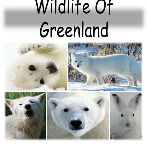 Wildlife of greenland ppt | PPTX
