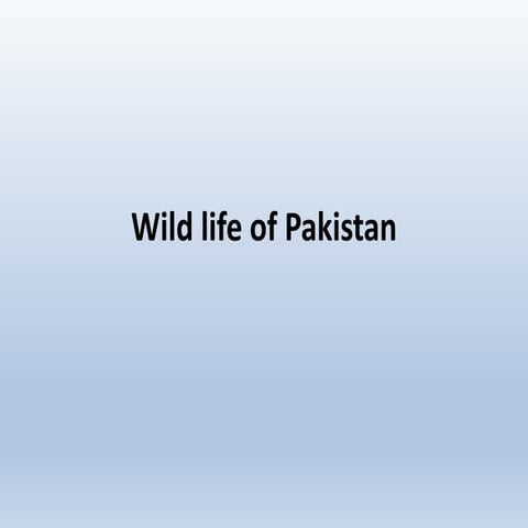 Wild life of Pakistan.pptx