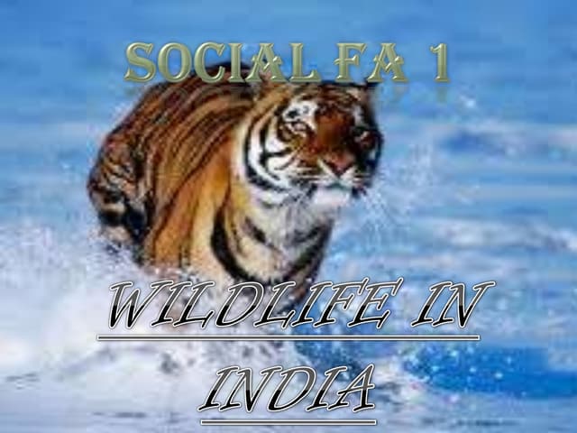 Wildlife presentation | PDF