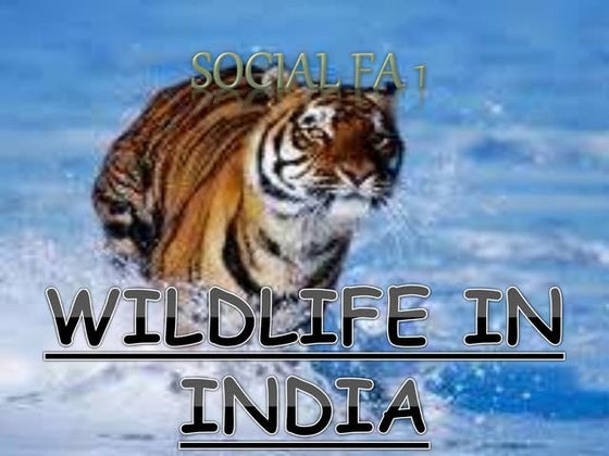 Art Integrated Project on Forest and Wildlife of Assam and Rajasthan | PPT