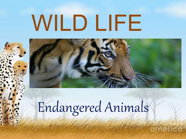 Endangered species powerpoint | PPTX