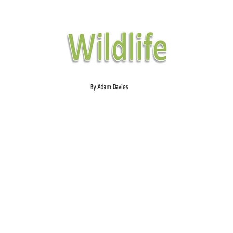 Wildlife presentation | PPT