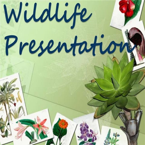 Wildlife presentation with Bow Wow! and Meaow! | PPTX