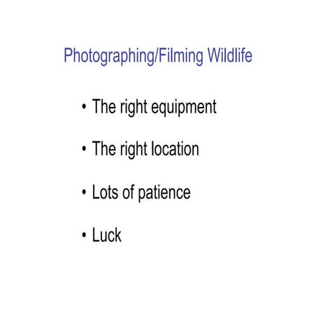 Wildlife Presentation | PDF