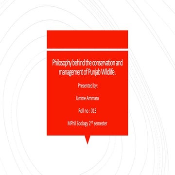 wildlife presentation, presentation of wildlife.pptx