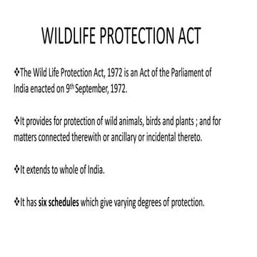 wildlife protection.pptx