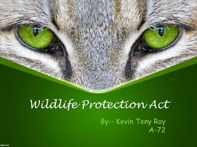 Wildlife protection act, 1972 | PPTX