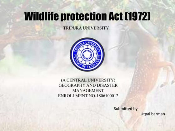 Ecosystem:Structure and Function | PPT