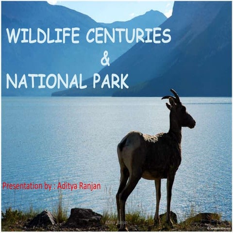 wildlife conservation | PPT