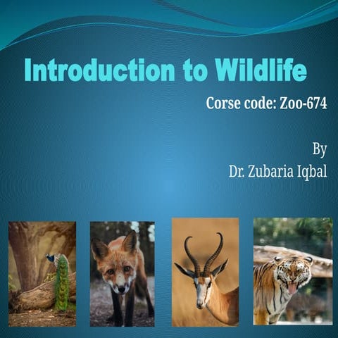 Wildlife Termonogies.powerpoint presentation | PPTX