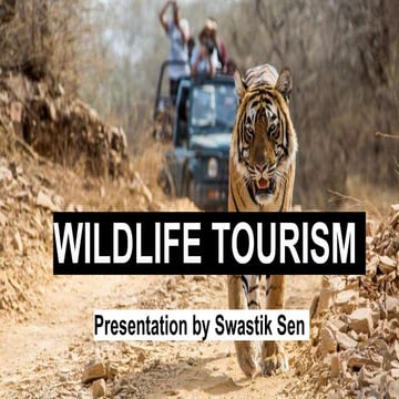 Wildlife tourism | PPTX