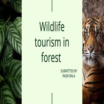 Wildlife tourism in forest and it's importance | PPTX