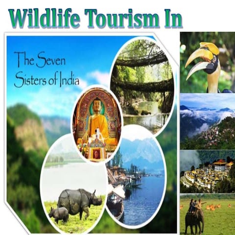 Wildlife tourism in north eastern regions of India | PPTX