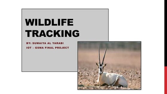 wildlifetracking DSE PROJECT for nature.pptx