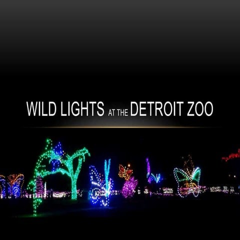 Wild Lights at the Detroit Zoo | PPT