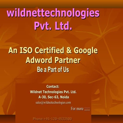 SEO Company India - SMO PPC , Website Design, Web Development Services At Wildnet Technologies | PPT