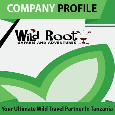Our Company Profile | PDF