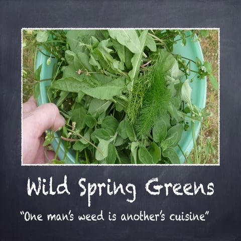 Wild spring greens | PDF
